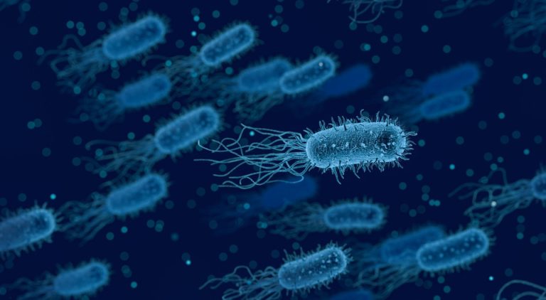 Wat zijn de gevolgen van wondroos? | Oedeem & Fysiotherapie Jansen